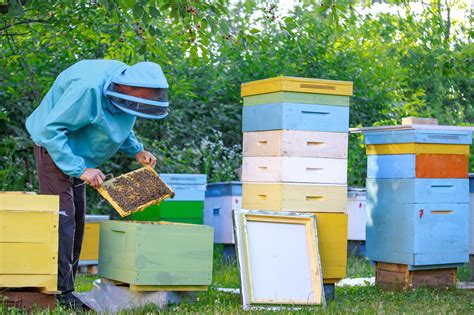 At Home Beekeeping Series Alabama Cooperative Extension System