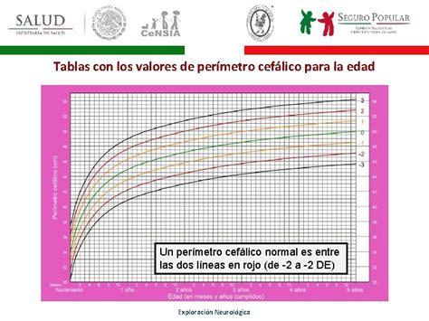 Mover A Mxico Desde La Infancia Exploracin Neurolgica