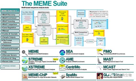 表观组学中的motif分析到底在研究什么？ 知乎