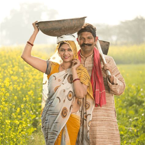 Casuraniya Suru Tree Tree Discovering The Unique Benefits And Timeles Grow Billion Trees