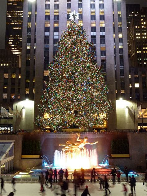 Top 20 Most Beautiful Christmas Trees In The World At Elaine Hudson Blog