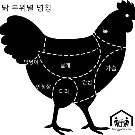 닭고기 완벽 활용 부위별 식감 맛 추천 요리 총정리 1 일상요리닷컴 🍳