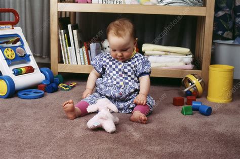 Object Permanence 1 Of 3 Stock Image C0280215 Science Photo