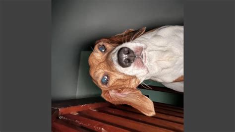 MINECRAFT SEX MODS YouTube MINECRAFT SEX MODS YouTube