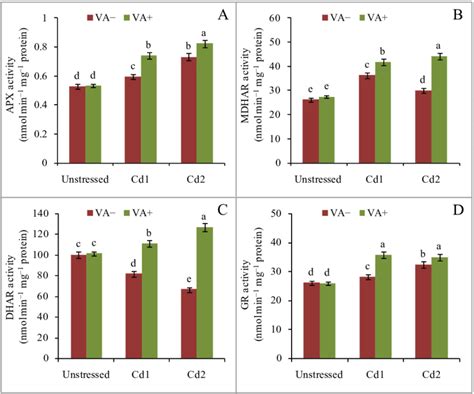 Effects Of Exogenous Va On Activities Of Ascorbate Peroxidase Apx