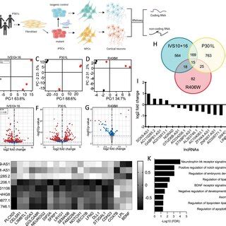 Mutations In MAPT Are Sufficient To Drive Changes In Long Non Coding Download Scientific