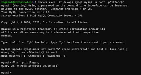 docker deploy mysql and phpmyadmin free 1