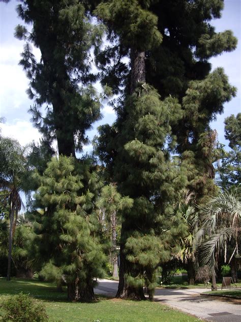 Imgp8187 Martin Jesenko Flickr