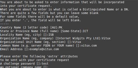 How To Generate CA Signed SSL Certificates For A Website VITUX