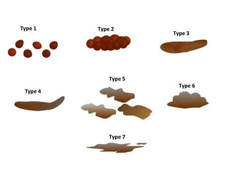 The Bristol Stool Chart City Gate Training Centre
