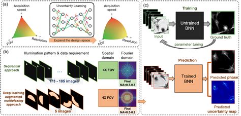 Github Bu Cisl Illumination Coding Meets Uncertainty Learning Project Repository For Deep