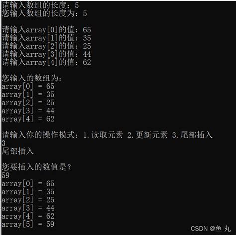 C语言中，用malloc Realloc动态分配内存，实现读入与输出、更新、尾部插入元素【附完整代码】malloc实现realloc