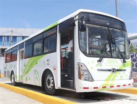 Transporte Masivo De Panamá Junto A Colon Lng Marketing Iniciarán Un
