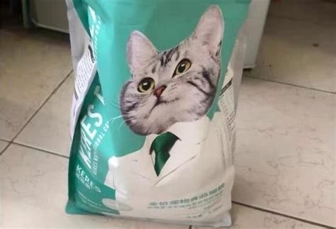 凯锐思猫粮怎么样值得买吗 宠物网问答