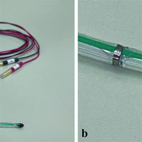 Baseline Mep Waveforms In Patient 1 Baseline Mep Waveforms Are