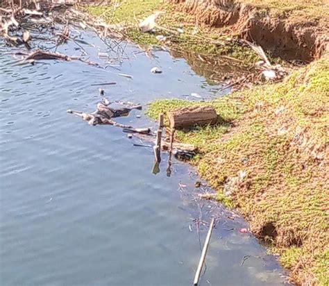 ရခိုင်ပြည်နယ်၊သံတွဲမြို့နယ် လင်းသီကျေးရွာနှင့် ရွှေလှေတံတား၏ လက်ရှိမြင်ကွင်းများ ဓာတ်ပုံသတင်း