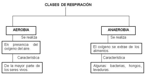 Ciencias Naturales Modulo 7