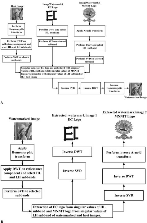 A Embedding Algorithm B Extraction Algorithm Download Scientific