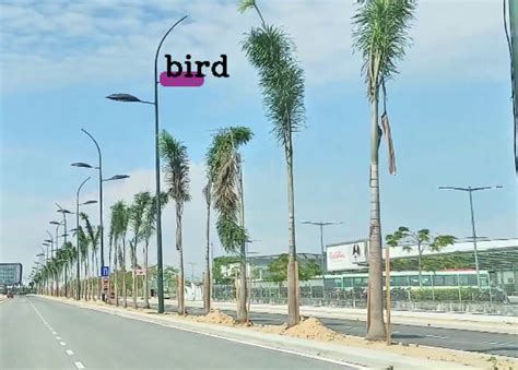 Tensorflow Is There Any Way To Rename Labels In Darkflow Pretrained Dataset Stack Overflow