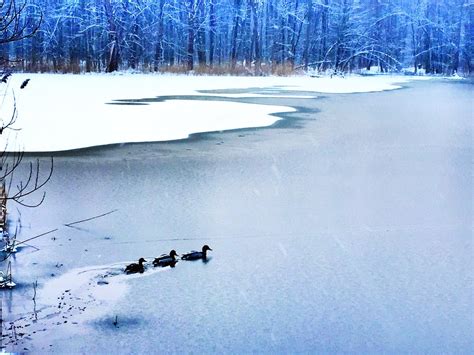 Deploy Ha Cf With Anti Affinity Drs Rules In Vsphere