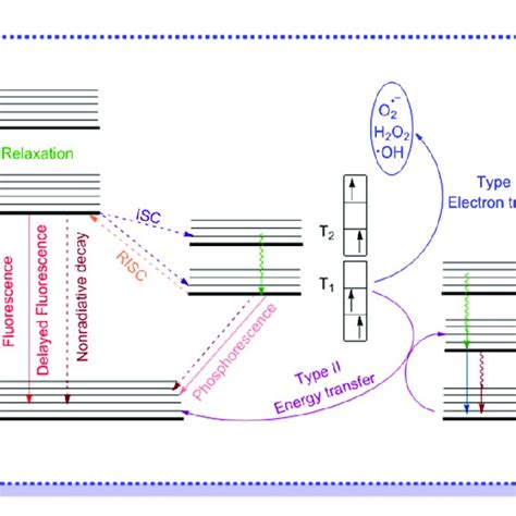 Photophysical And Photochemical Processes Illustrated By A Modified