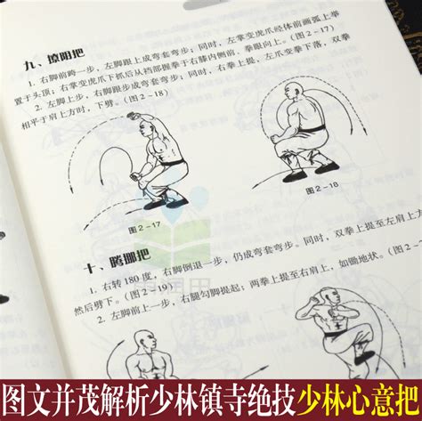 【正版书籍】少林秘传技击术易学少林功夫入门近战绝技中g功夫少林武学专项训练武术太j拳武功秘籍运动训练锻炼健身书籍sx虎窝淘