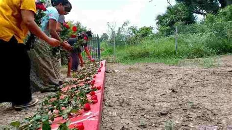 အားမာန်သစ် သပိတ်စစ်ကြောင်းက Pdf ရဲဘော် ၁၀ ဦး ကျဆုံးခြင်း ၁ နှစ်နှင့် ၈ လပြည့်နေ့အဖြစ် ချီတက