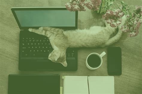 Hialearn Profee And Evaluation And Management Training Plan