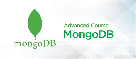 advanced mongodb course in thrissur