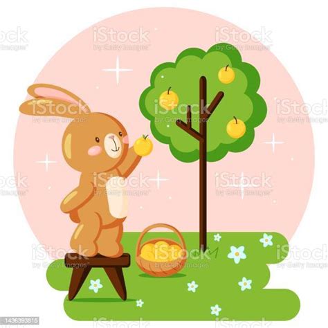 귀여운 토끼 캐릭터 사과 따기 여름 Chatacter Hasrvesting 만화 플랫 스타일 벡터 일러스트 레이 션 6월에 대한 스톡 벡터 아트 및 기타 이미지 Istock