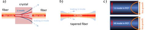Spatiotemporal Erc Stems