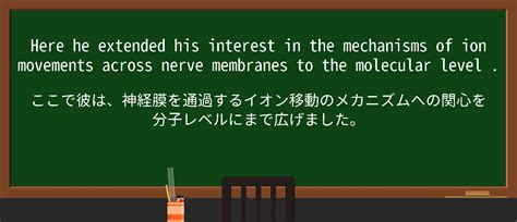 【英単語】molecular Levelを徹底解説！意味、使い方、例文、読み方