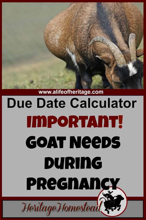 Gestation Calculator Scary Pregnancy Problems To Watch For