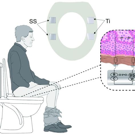 Experimental Setup For Acquiring The Skin Electrode Contact Impedance Download Scientific