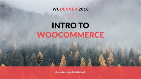 Introduction To Woocommerce Pdf