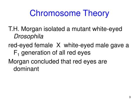 Ppt Chromosomes Mapping And The Meiosis Inheritance Connection Powerpoint Presentation Id
