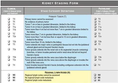 Ajcc Cancer Staging 7th Edition