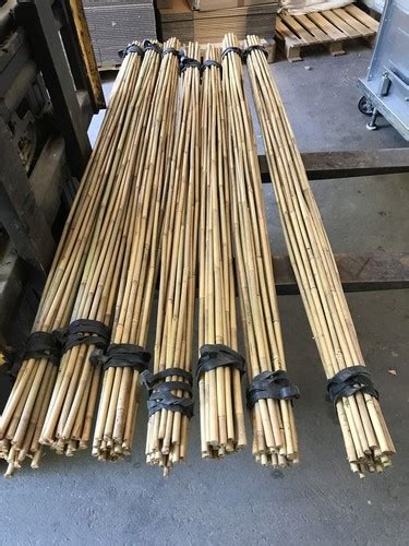 Tonkinstäbe 25 St Bambusstäbe 183 Cm 14 16 Mm Pflanzstäbe Rankhilfe