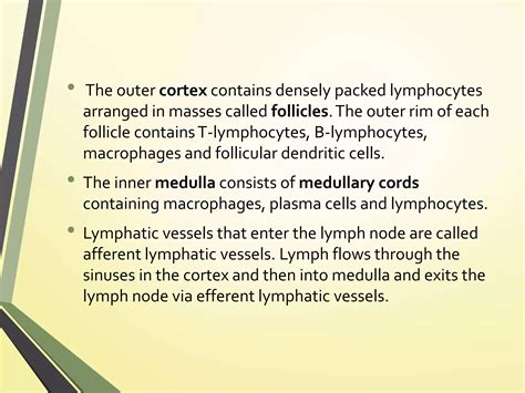 Lymphatic System Anatomy And Physiology Pptx