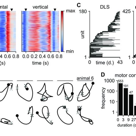 Experimental Recordings Of Behavior And Neural Activity A Right Download Scientific Diagram