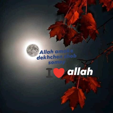 E Mart Collection Bd বিয়ে করিনি তবে বিয়ের আগের দিন বউয়ের বাবাকে একলা ডাকবো। তার হাতটা