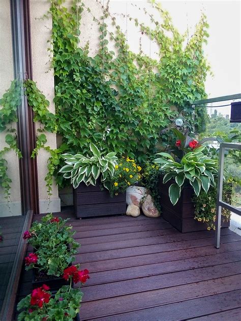 Озеленяване тераси и балкони Интериор Плант Дизайн