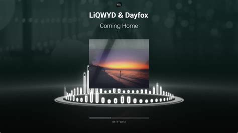 Create Awesome Audio Spectrum Or Music Visualizer By Stevecorp Fiverr