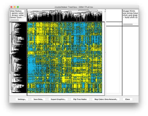 Functional Enrichment