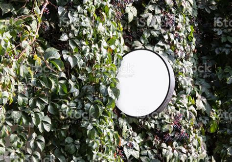 배경에 로고 및 텍스트에 대한 간판 모형 및 템플릿 빈 프레임 칠판에 대한 스톡 사진 및 기타 이미지 칠판 상점 표지판