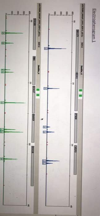 Solved Part Ii Str Profiling A For Electropherogram 1 And