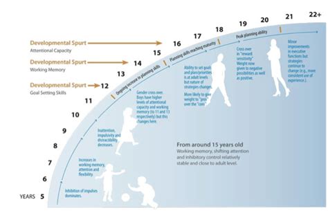 Adhd Executive Function Age Chart Keski