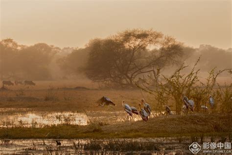 袁国强作品 图集 影像中国网 中国摄影家协会主办