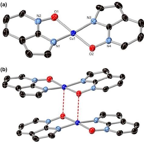 A The Structure Of [cu L 2] 1 With Heteroatom Labelling Scheme Download Scientific Diagram