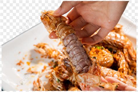 소금과 후추 Png 일러스트 무료 다운로드 Lovepik